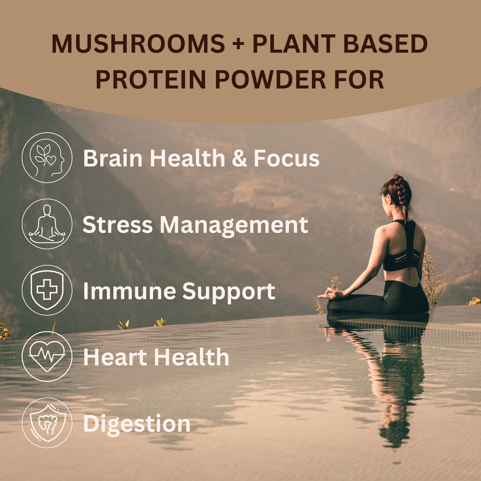 MycoProtein – ChagaRoot